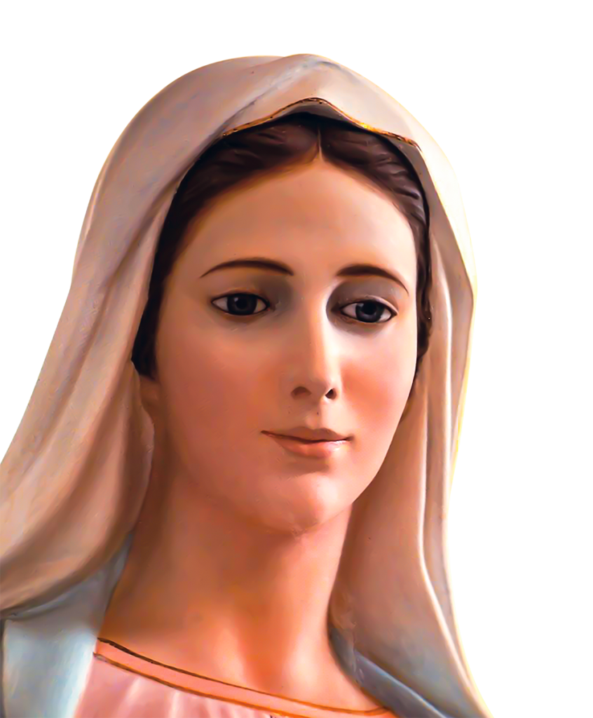 DMI – Society of Daughters of Mary Immaculate – Fully Human and Fully Alive